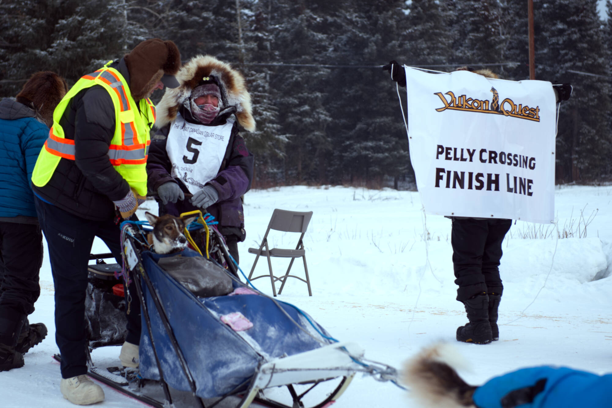 Yukoner Michelle Phillips wins second consecutive Yukon Quest 450-mile ...