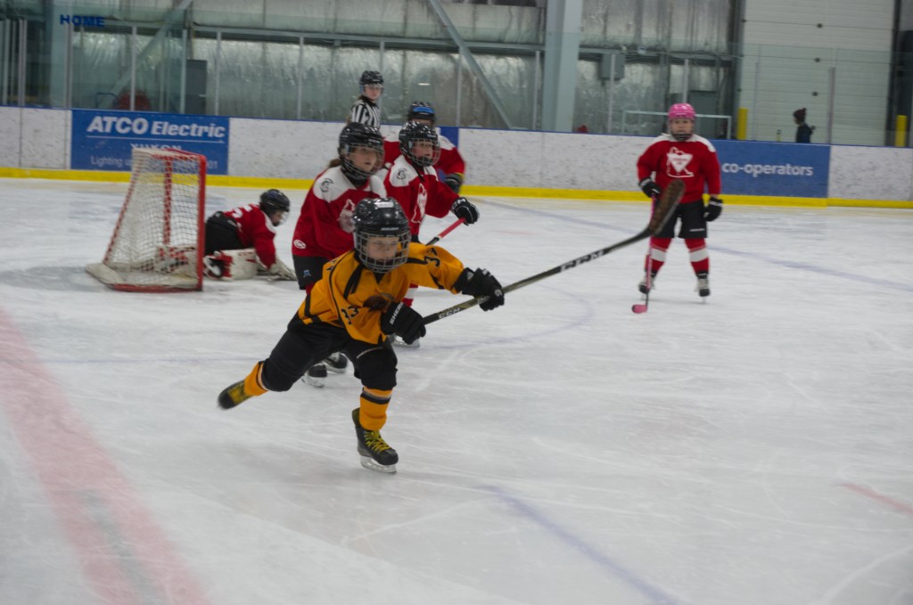 Teams from across Yukon compete in U9 Hockey Championships | Yukon News