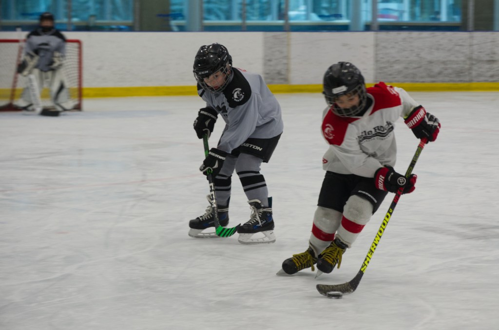 Teams from across Yukon compete in U9 Hockey Championships | Yukon News