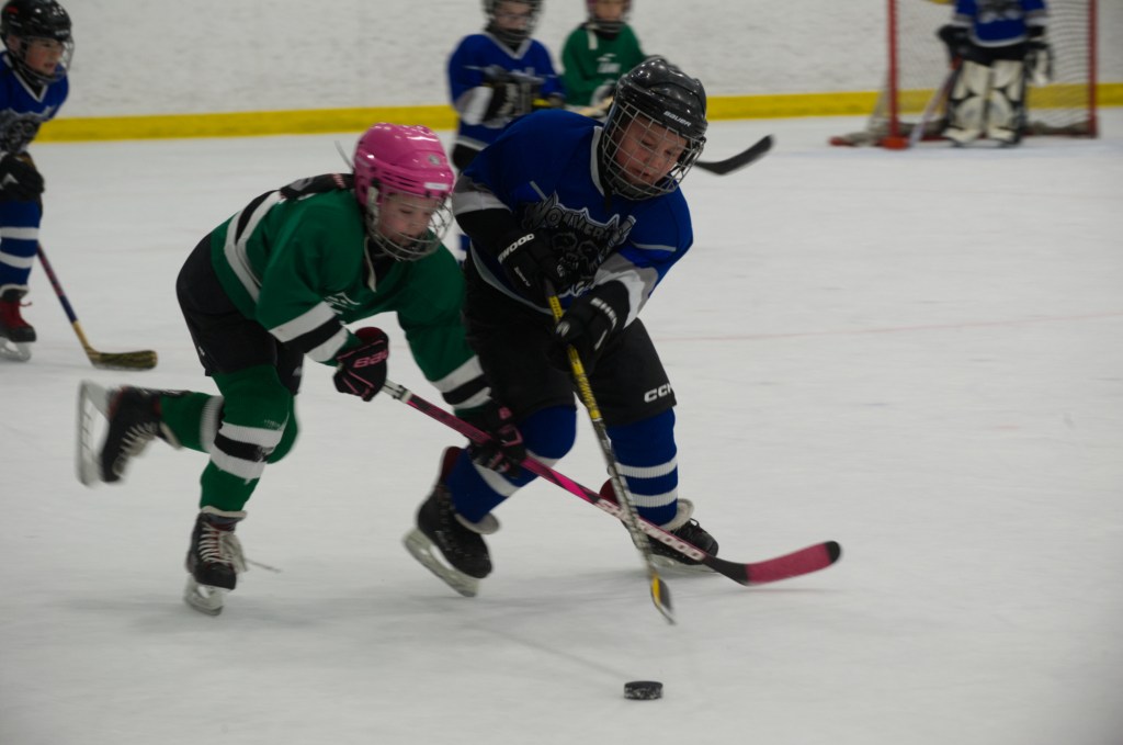 Teams from across Yukon compete in U9 Hockey Championships | Yukon News