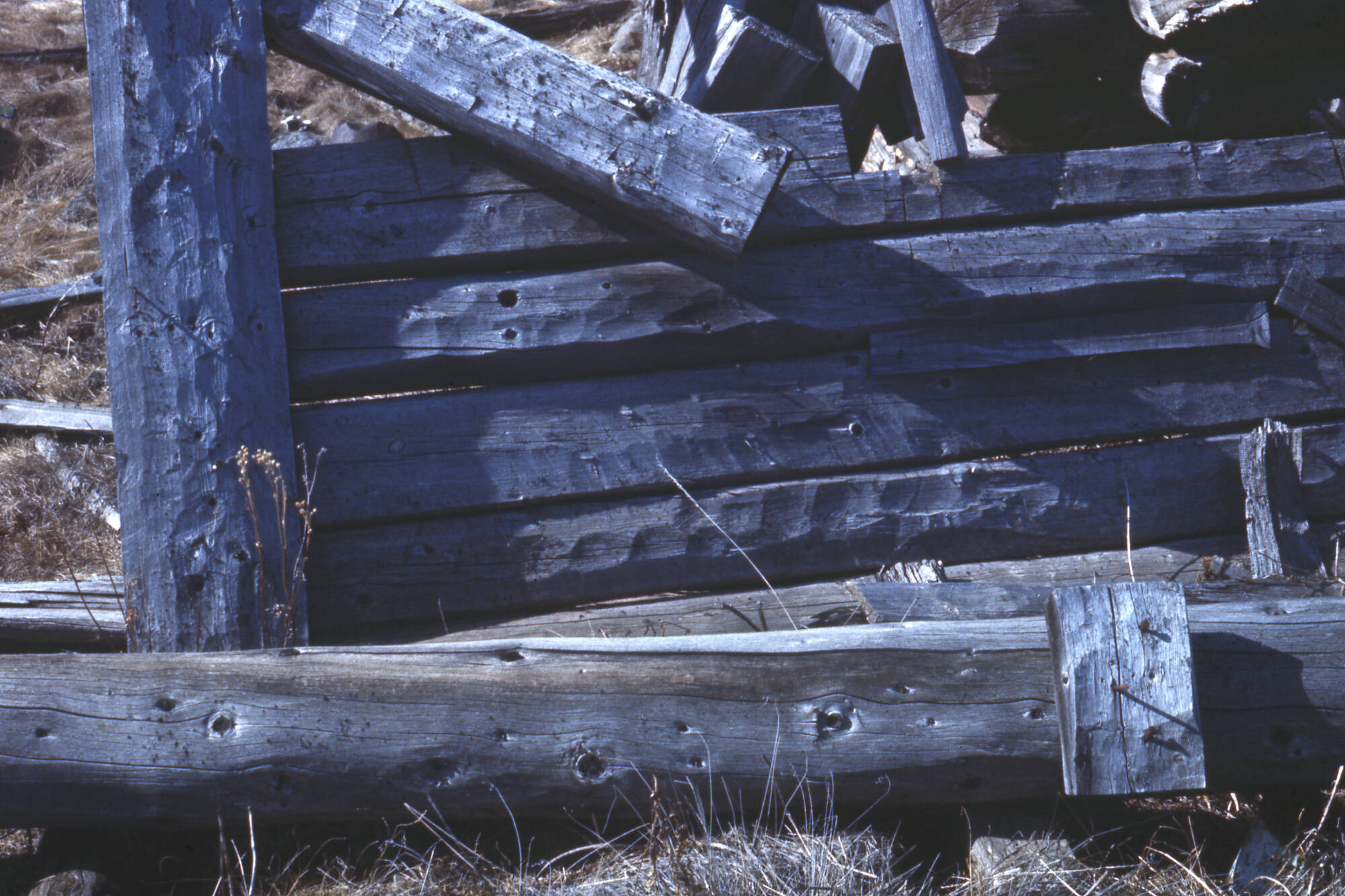 History Hunter: Every Yukon log cabin has a story to tell | Yukon News